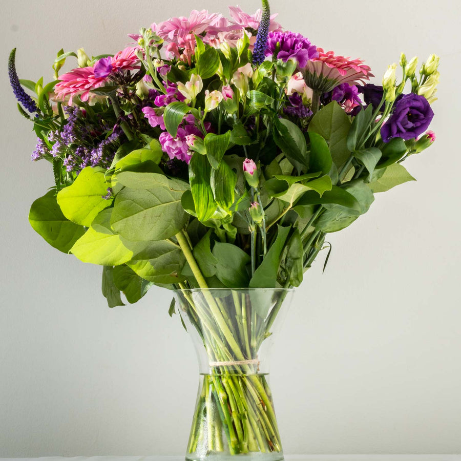 Hayley Collection Flowers | Hillview Flowers | Bournemouth & Poole ...